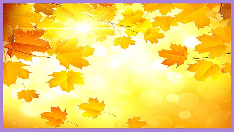 KS1 Dance: Let's Move. Autumn days - BBC Teach