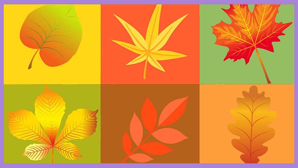 Autumn term resources - BBC Teach