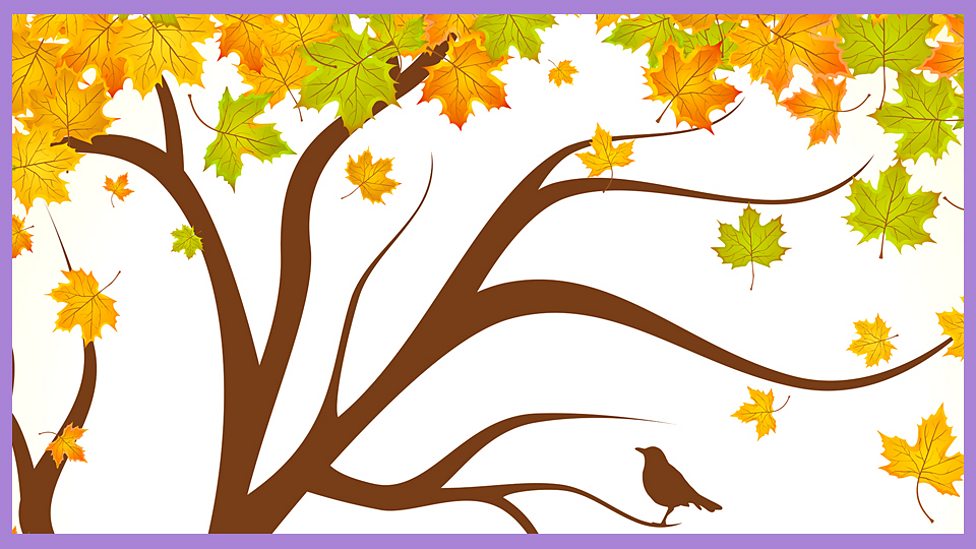 KS1 Dance: Let's Move. Autumn - BBC Teach