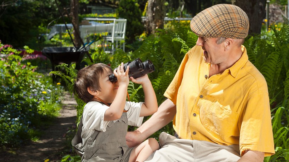 Free fun family activities: birdwatching - BBC Bitesize