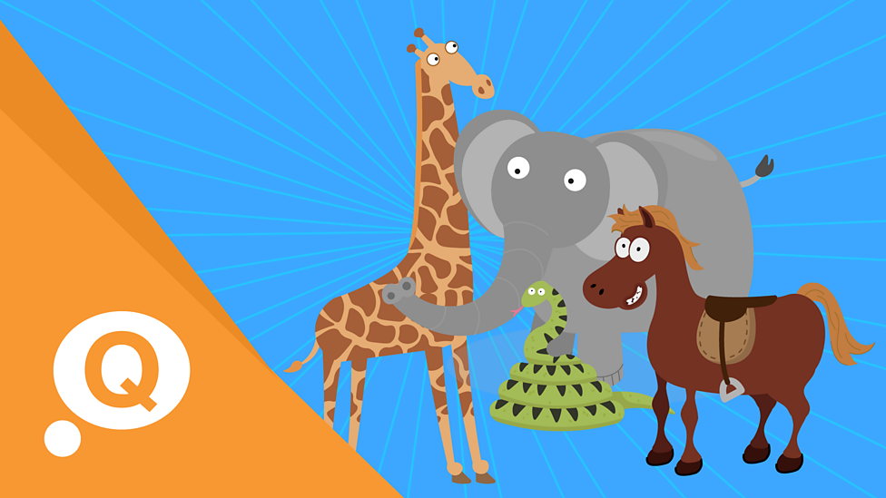 Topics - KS2 French - BBC Bitesize