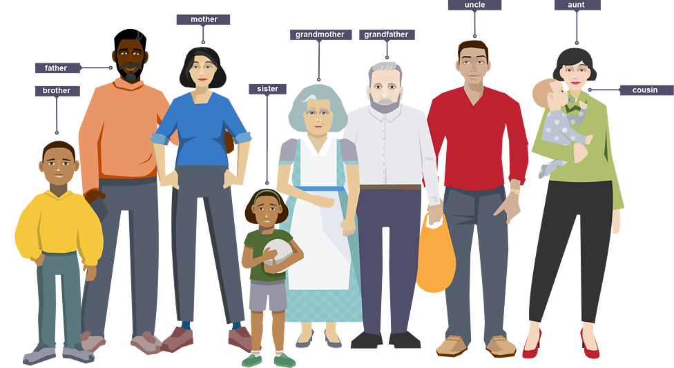 My family - BBC Bitesize