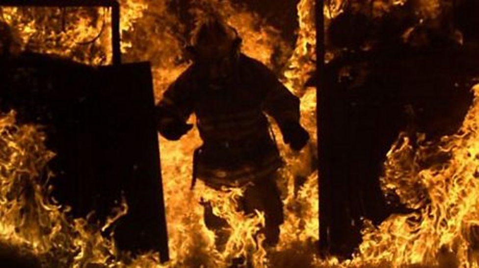 Inside the Human Body - BBC Bitesize