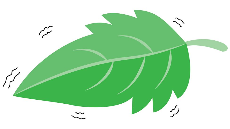 Iaith llythyr personol - Cymraeg - Cyfnod Allweddol 2 - BBC Bitesize