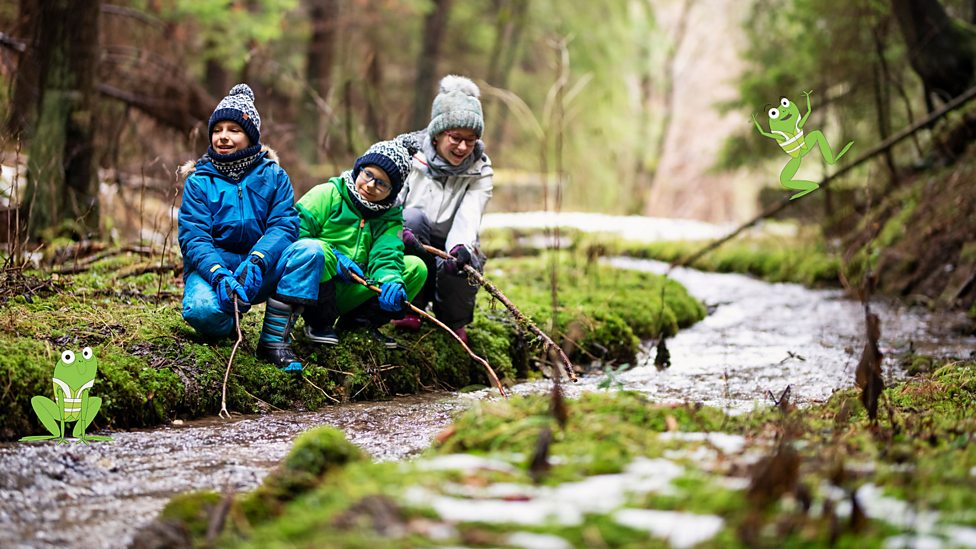 What happens in a geography fieldwork investigation? - BBC Bitesize