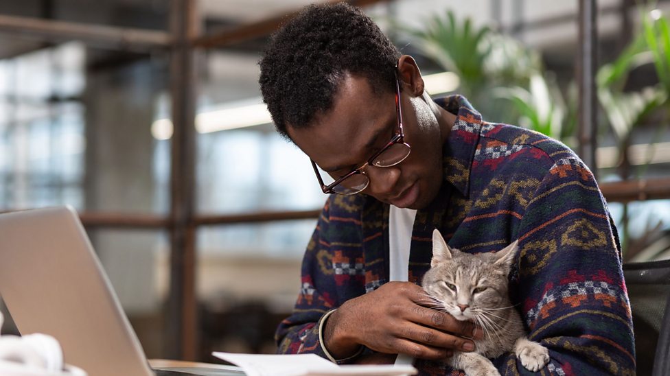 Five things science still can’t explain - BBC Bitesize