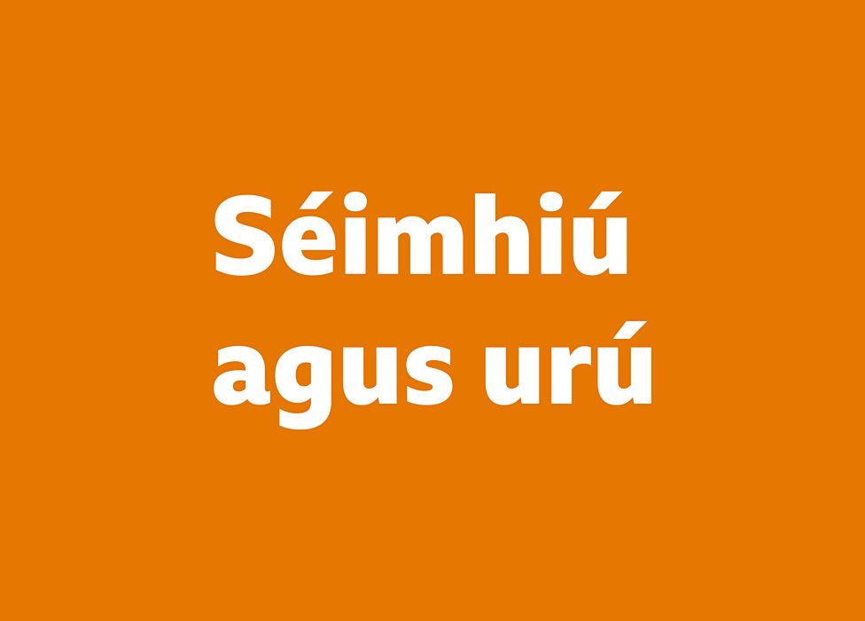 Grammar - KS3 Irish – Learners - BBC Bitesize