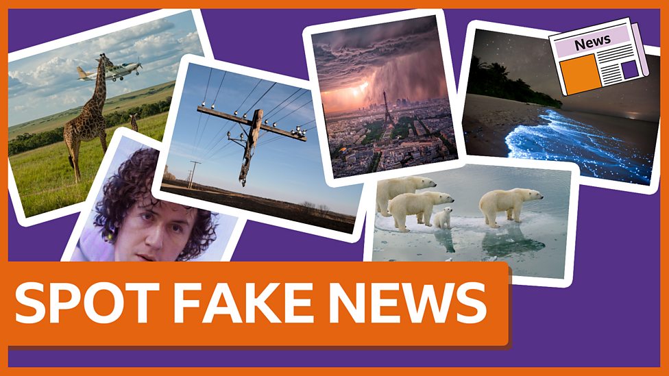 Five ways to spot misleading images online - BBC Bitesize