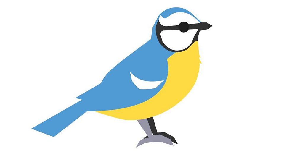 Adding -s and -es - English - Learning with BBC Bitesize - BBC Bitesize