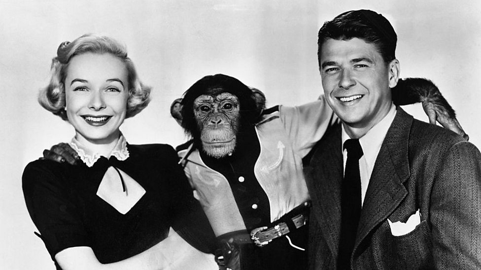 Five famous people who successfully switched careers - BBC Bitesize