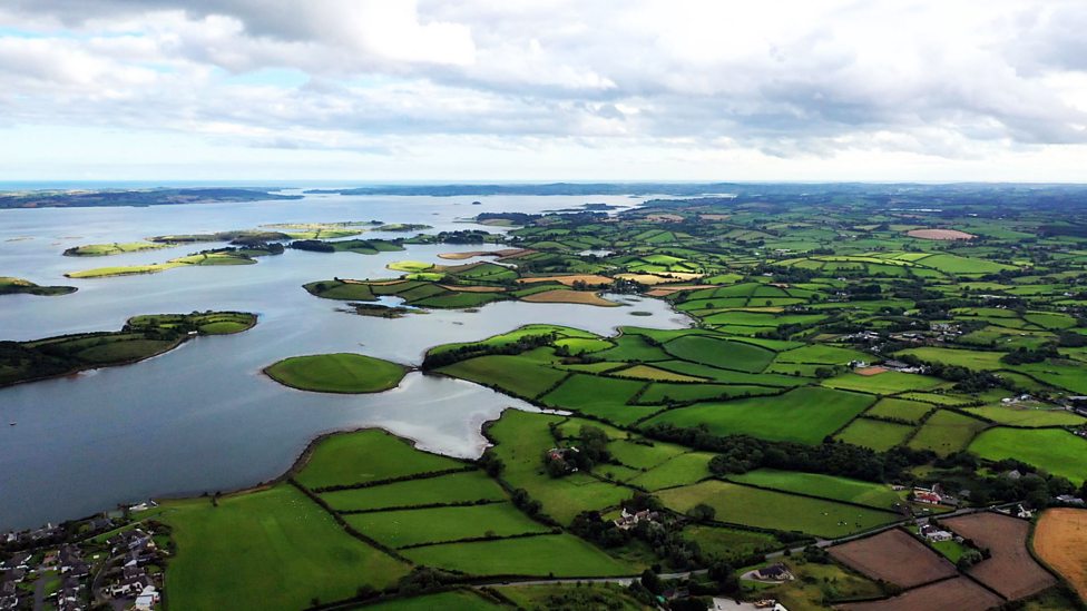 Biodiversity and Ecology - BBC Bitesize