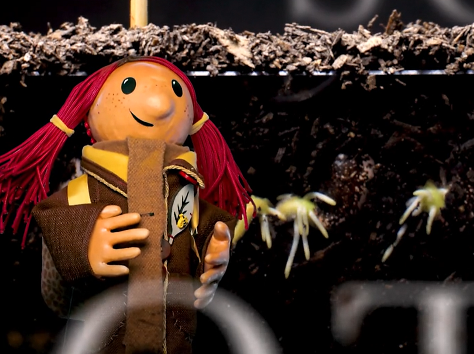 What are seeds? - The World Around Us - KS1 - BBC Bitesize