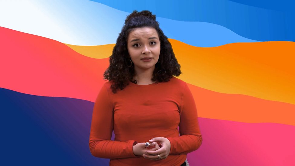 Politics and democracy - KS3 Citizenship (Wales) - BBC Bitesize