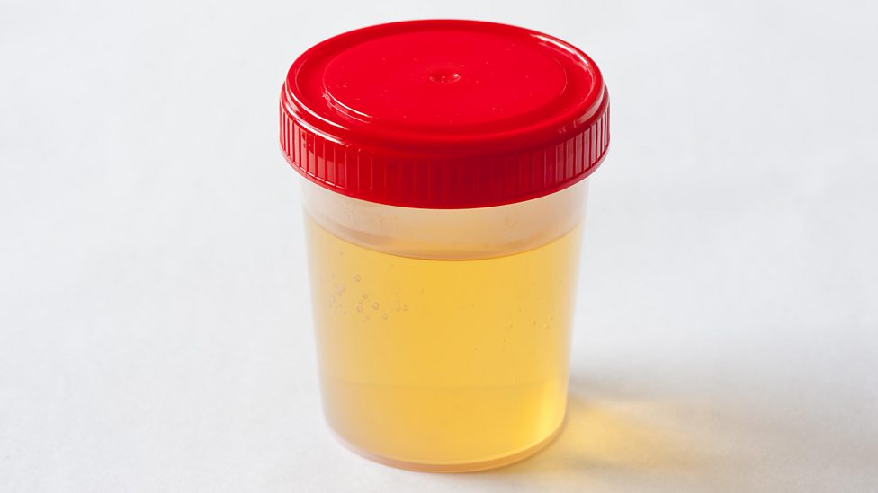 What are new renewable energy sources? - BBC Bitesize