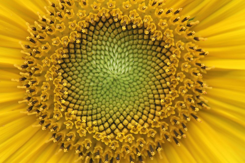 Patterns - BBC Bitesize