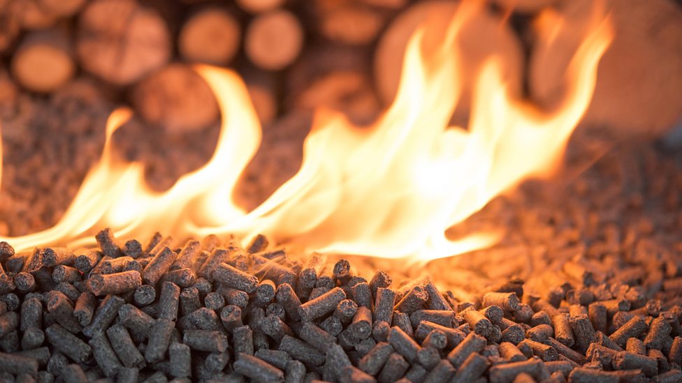 Biomass - BBC Bitesize