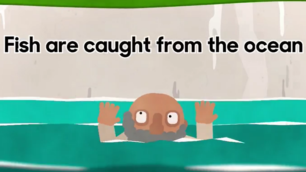 What is a passive verb? - BBC Bitesize