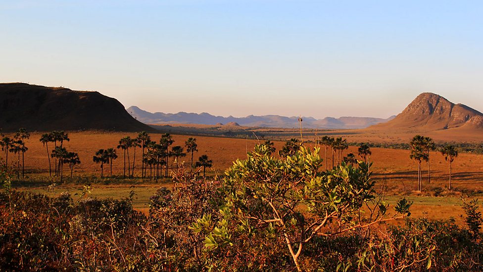 Introduction to Brazil - KS3 Geography - BBC Bitesize