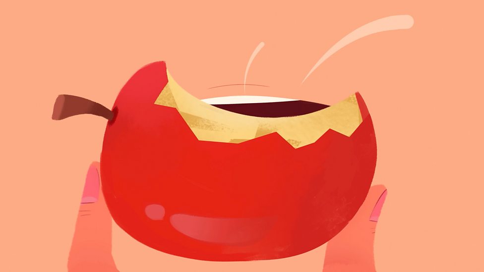 How does biomass energy work? - BBC Bitesize