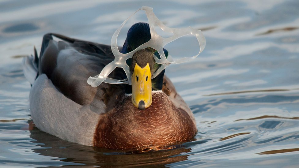 How we can reduce use of plastic - BBC Bitesize