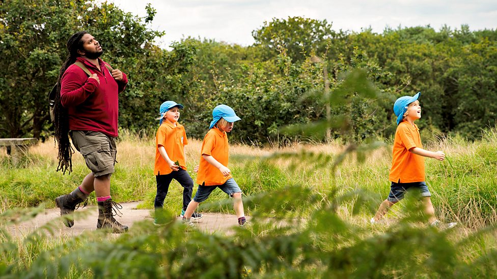 Become a nature detective - BBC Bitesize