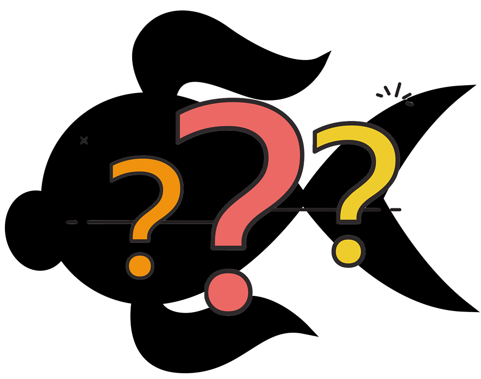 What are fish? - BBC Bitesize