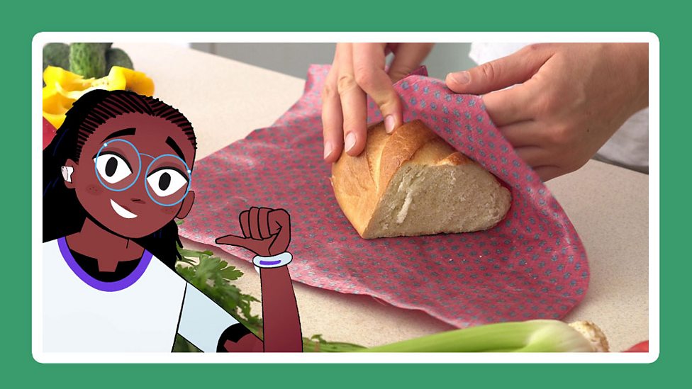 The problem with plastic - KS2 - The Regenerators - BBC Bitesize