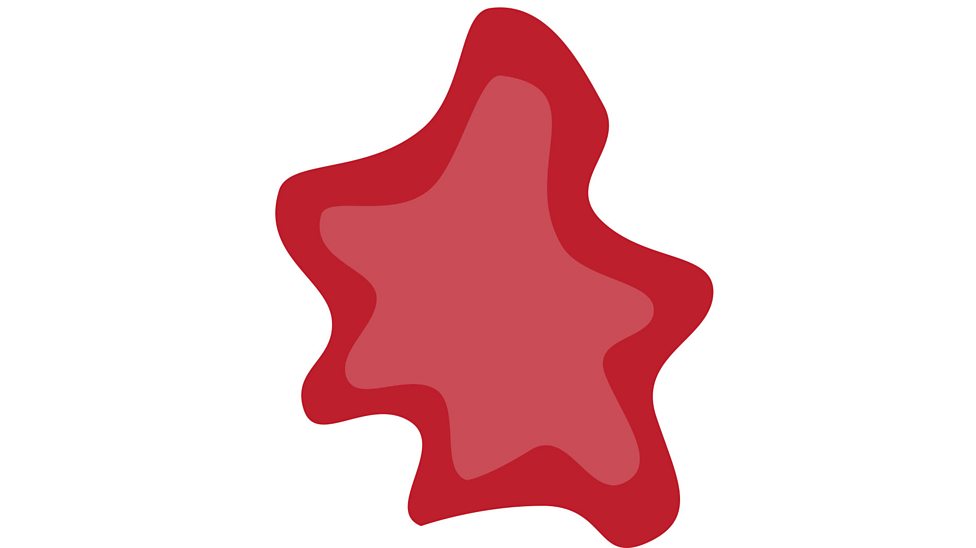 The circulatory system - BBC Bitesize