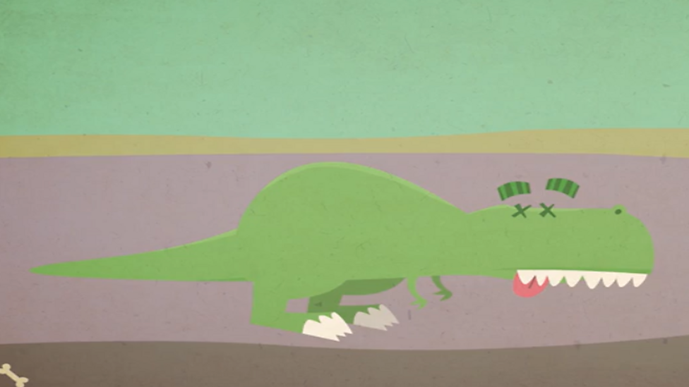 What can fossils tell us? - BBC Bitesize