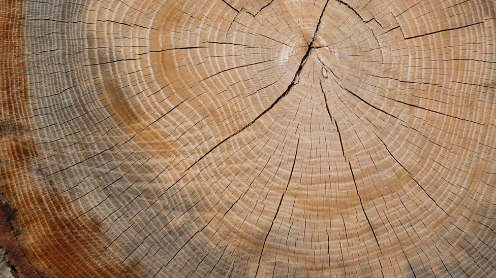 Scotland - Learning for Sustainability - Climate change evidence - 3rd ...