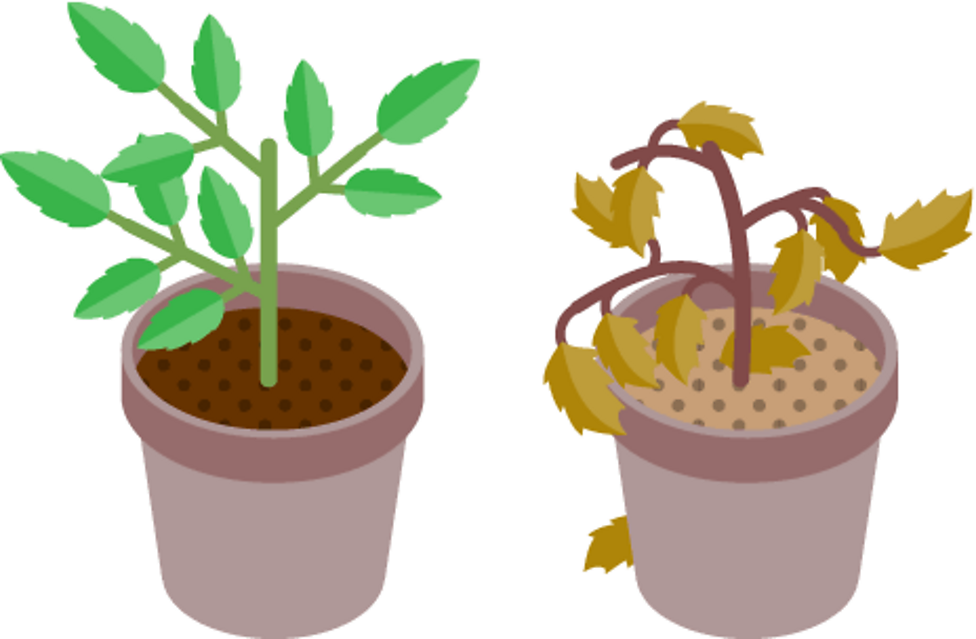 What is photosynthesis? - Respiration and gas exchange - KS3 Biology ...