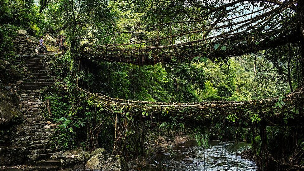 Six unusual bridges from around the world - BBC Bitesize