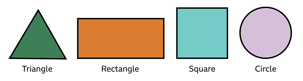 Finding shapes in nature - KS1 - The Regenerators - BBC Bitesize