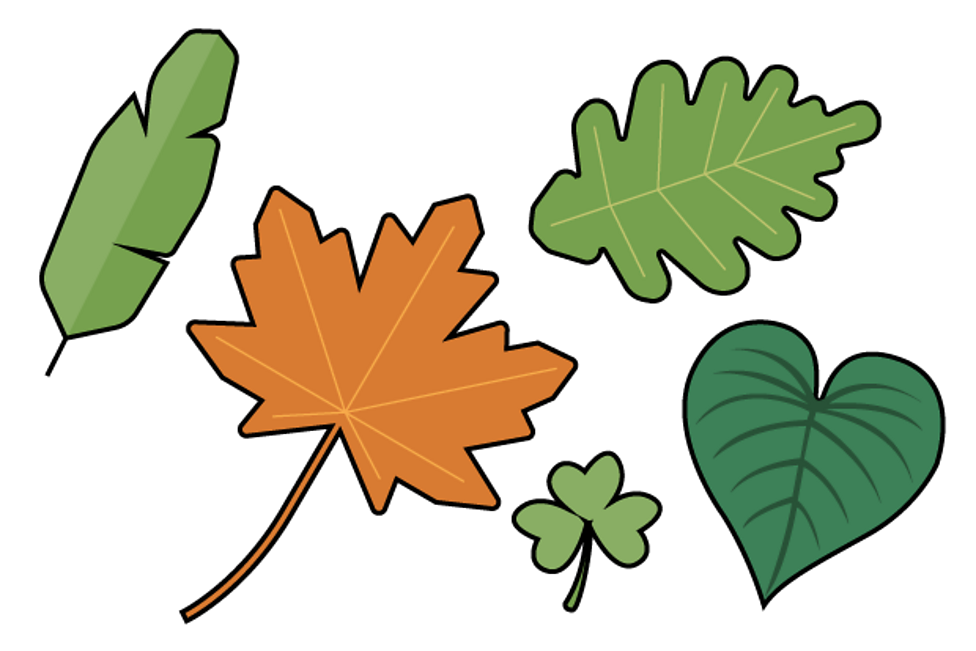 Finding shapes in nature - KS1 - The Regenerators - BBC Bitesize