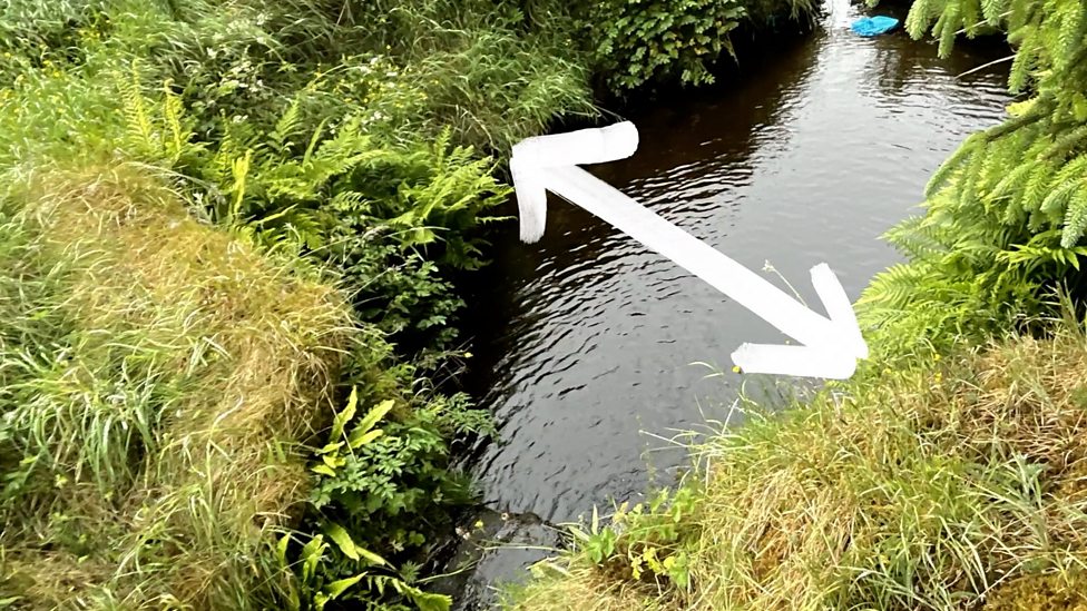 Local rivers and how they function - BBC Bitesize