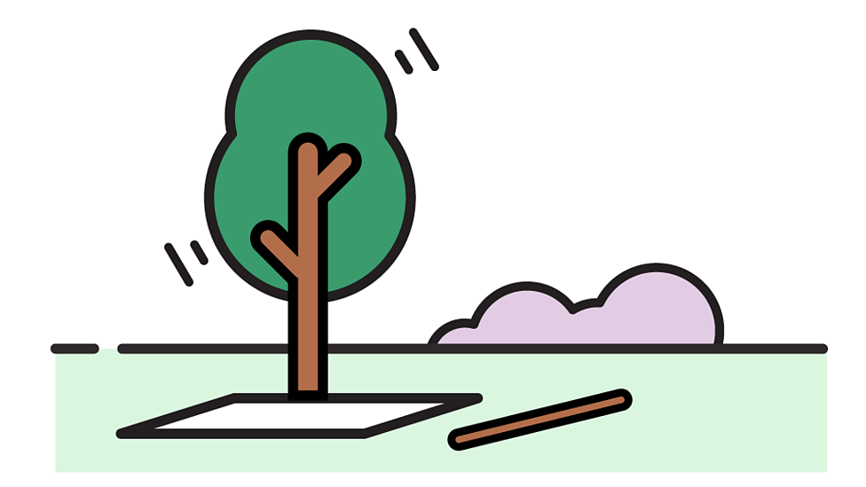 How to look for wildlife in your local space - KS2 - The Regenerators ...