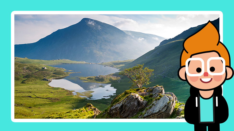 Finding shapes in nature - KS1 - The Regenerators - BBC Bitesize