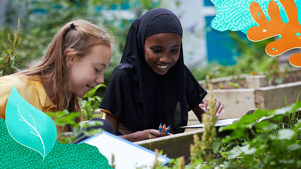 Become a nature detective - BBC Bitesize