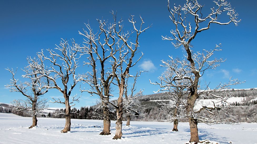 How do cold weather conditions affect our lives? - BBC Bitesize