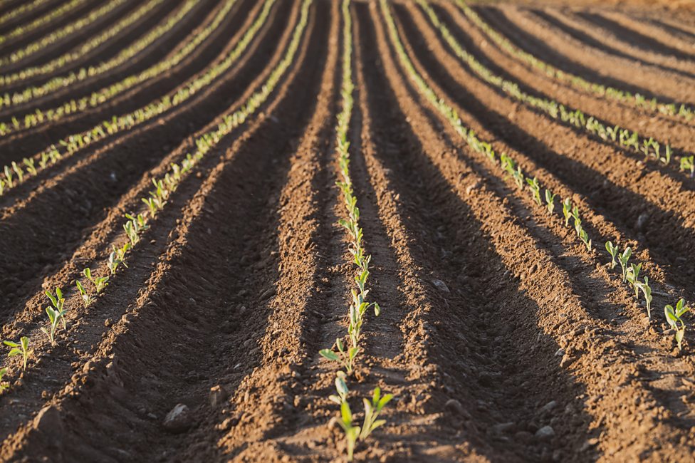 Impact of climate change in Northern Ireland - BBC Bitesize