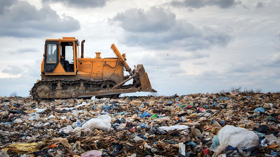 Bioaccumulation - KS3 Biology - BBC Bitesize