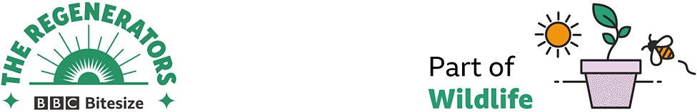 What is migration and why do some animals migrate? - KS2 Sustainability ...