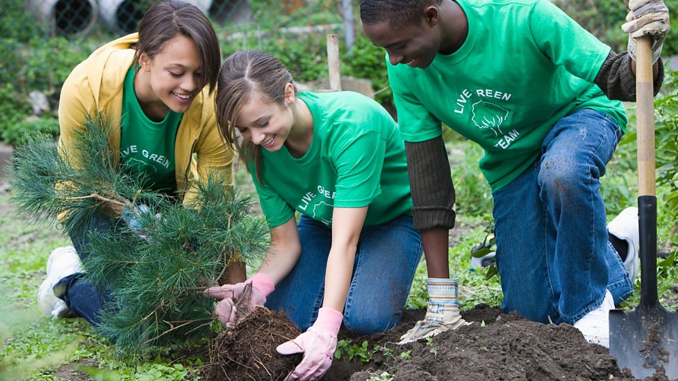 Four ways to give back to nature through rewilding - The Regenerators ...