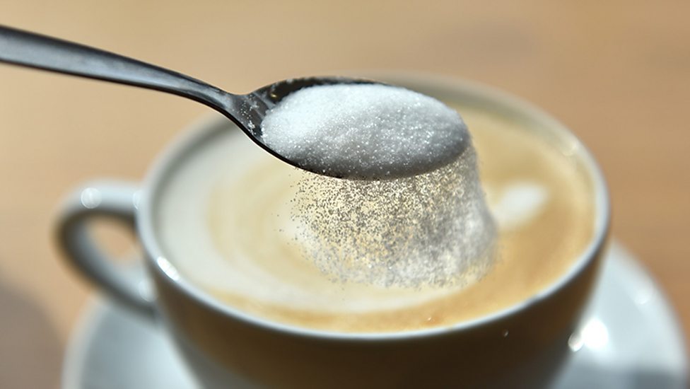 KS3 Biology - BBC Bitesize