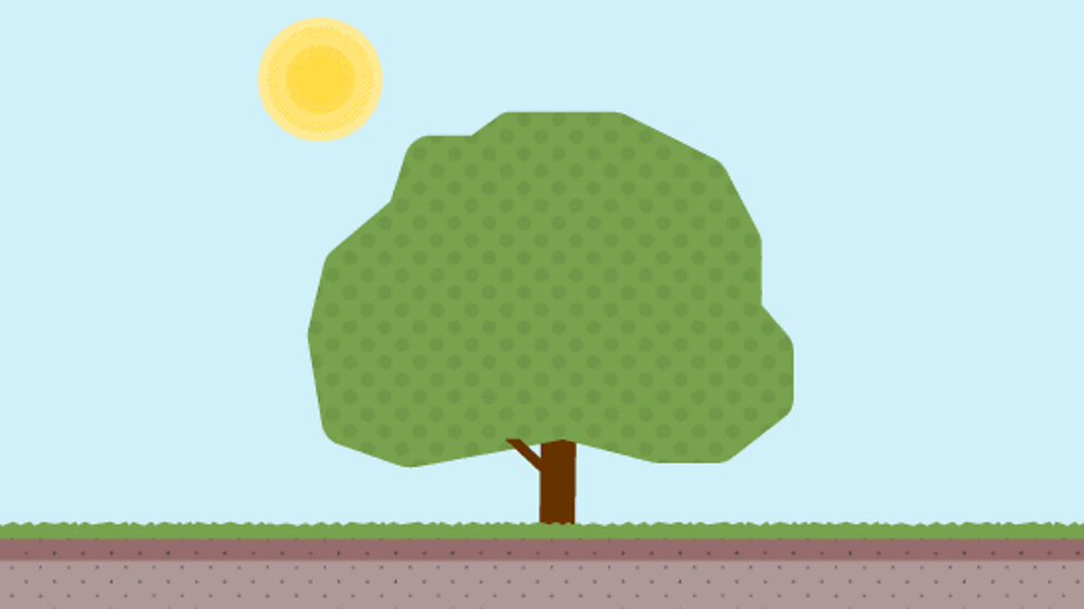 Respiration and gas exchange - KS3 Biology - BBC Bitesize