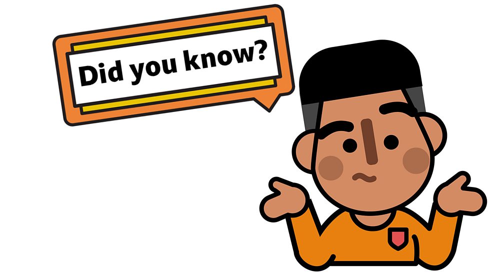 How do your muscles work? - BBC Bitesize