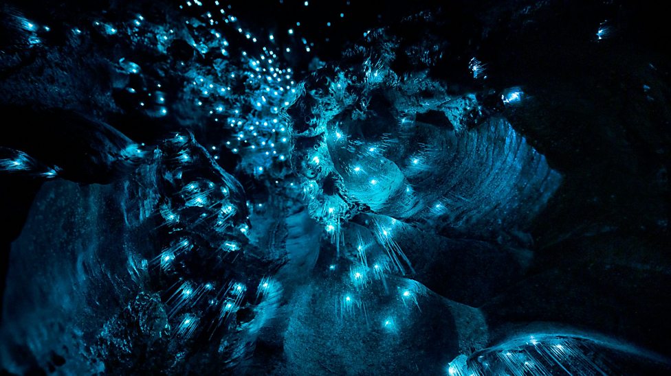 Natural shapes around the world - BBC Bitesize