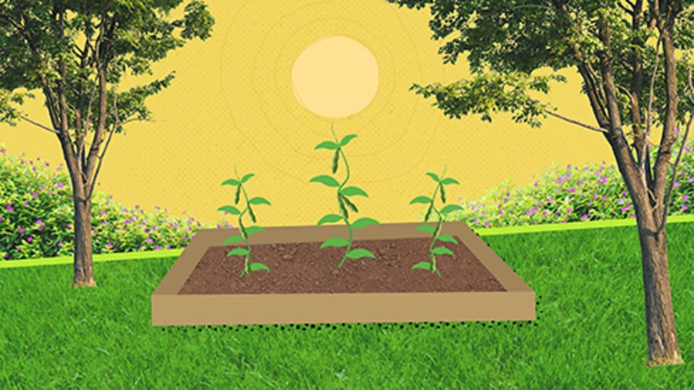 Explainer: Why is our climate changing? [KS1] - Videos for teachers ...