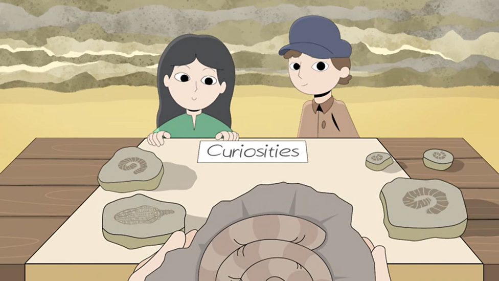 Who was Mary Anning? - BBC Bitesize