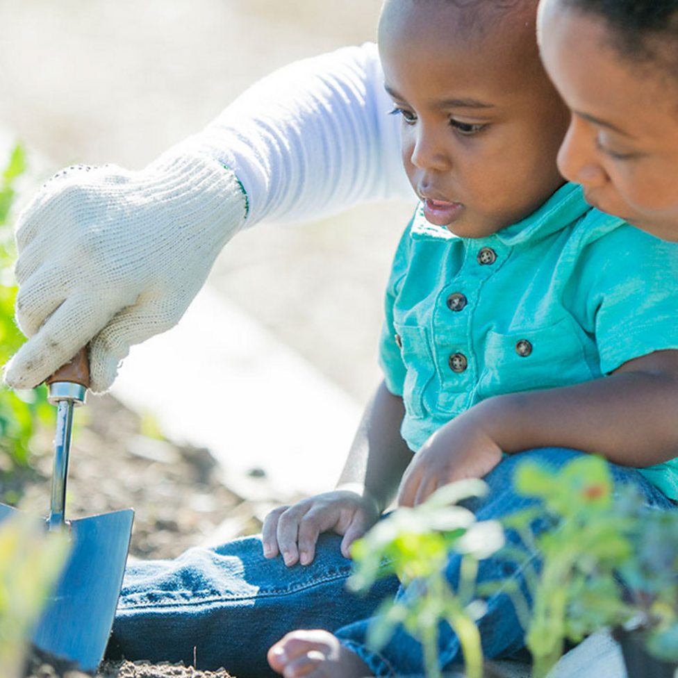 18 fun hobbies to do with children at home - BBC Tiny Happy People